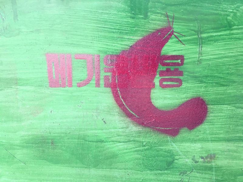 Pyongyang Catfish Farm | North Korea Travel Guide - Koryo Tours