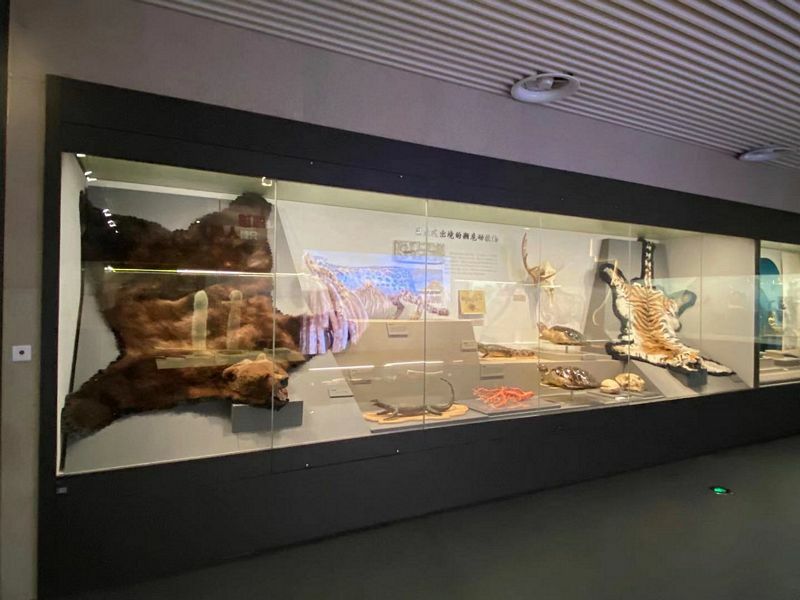 Museums of Beijing: China Customs Museum - Koryo Tours