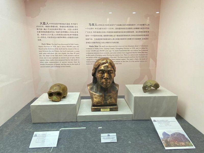Museums of Beijing: Paleozoological Museum of China - Koryo Tours