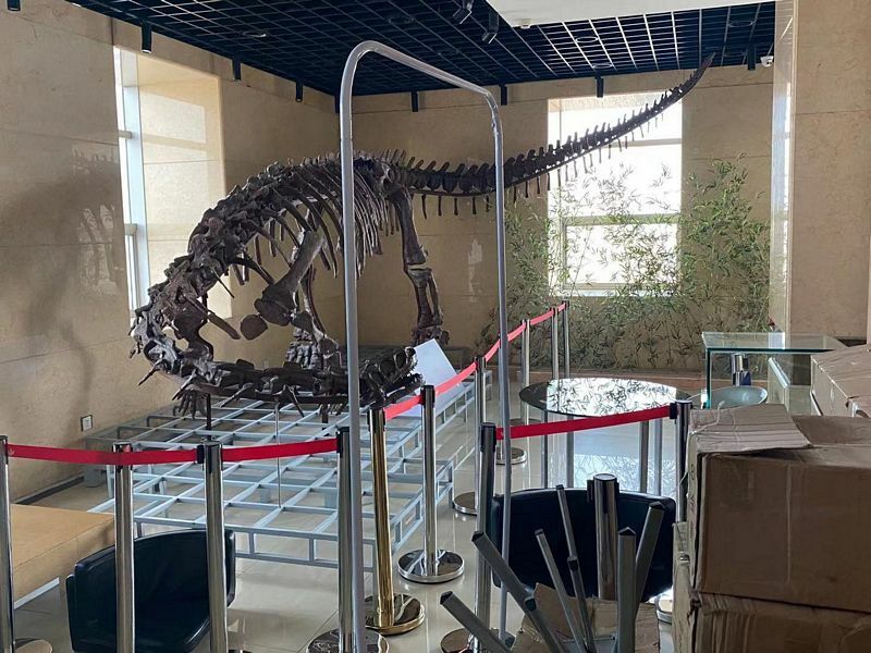 Museums of Beijing: The Geological Museum of China - Koryo Tours