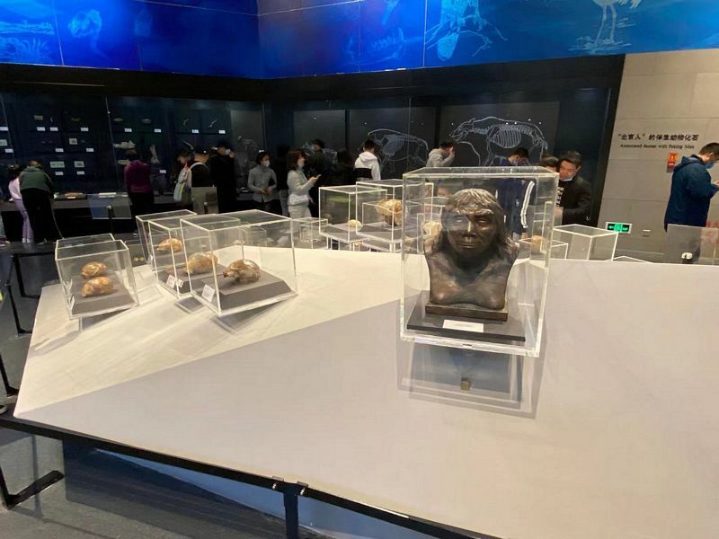 Museums of Beijing: Zhoukoudian Site Museum - Koryo Tours