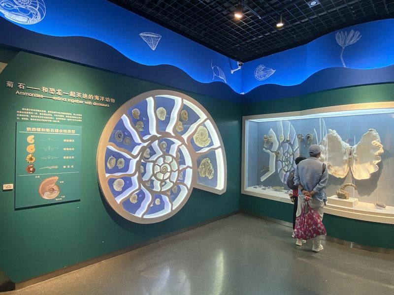 Museums of Beijing: Beijing Museum of Natural History - Koryo Tours