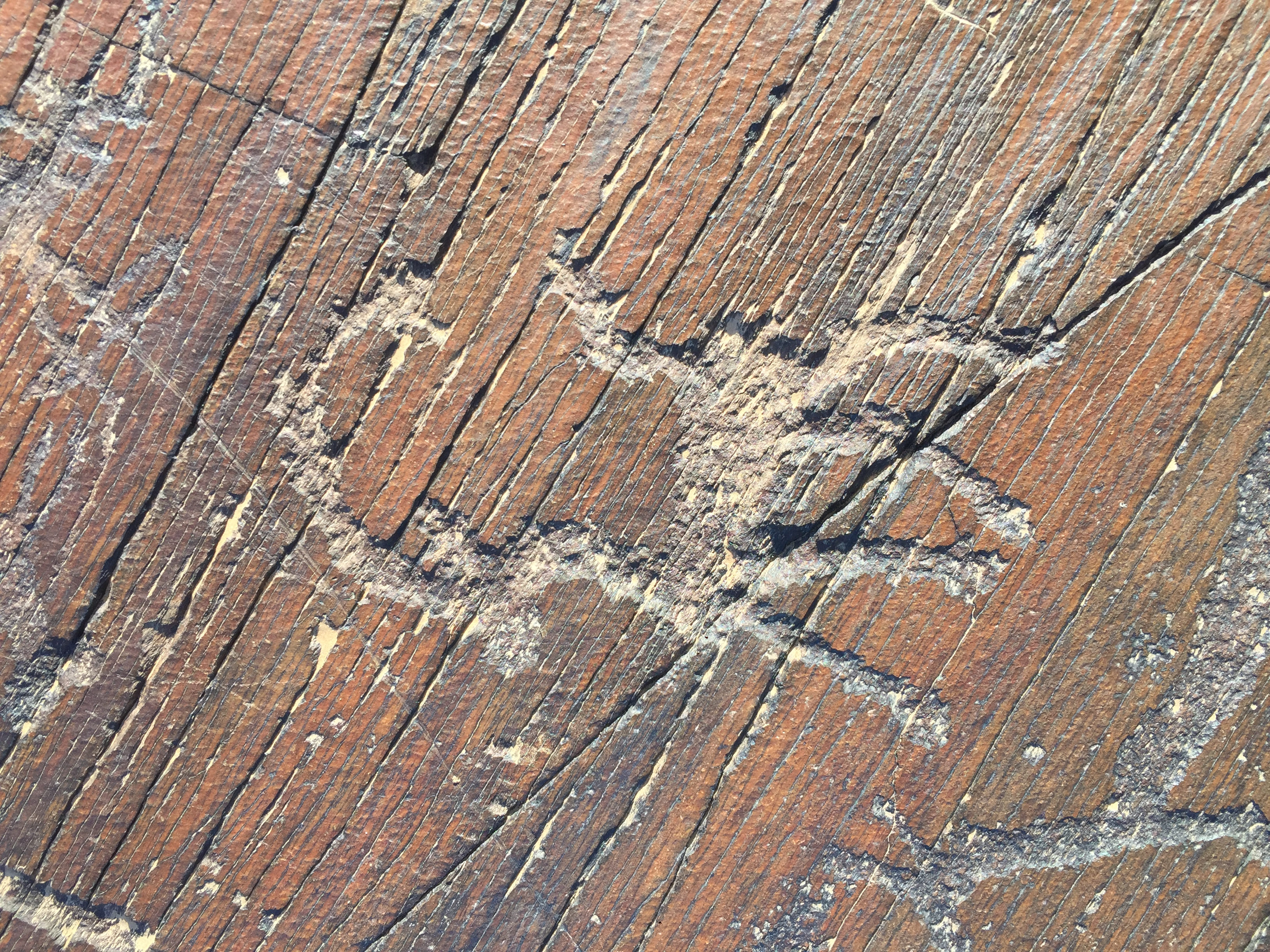 Tsagaan Suvarga National Park (White Stupa) | Mongolia Travel Guide ...