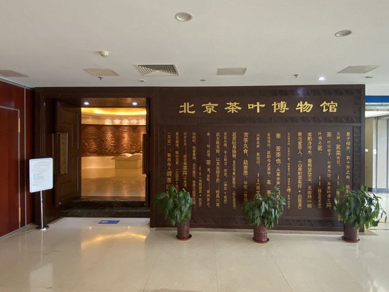 They took all the tea, and put it in a Tea Museum - Koryo Tours