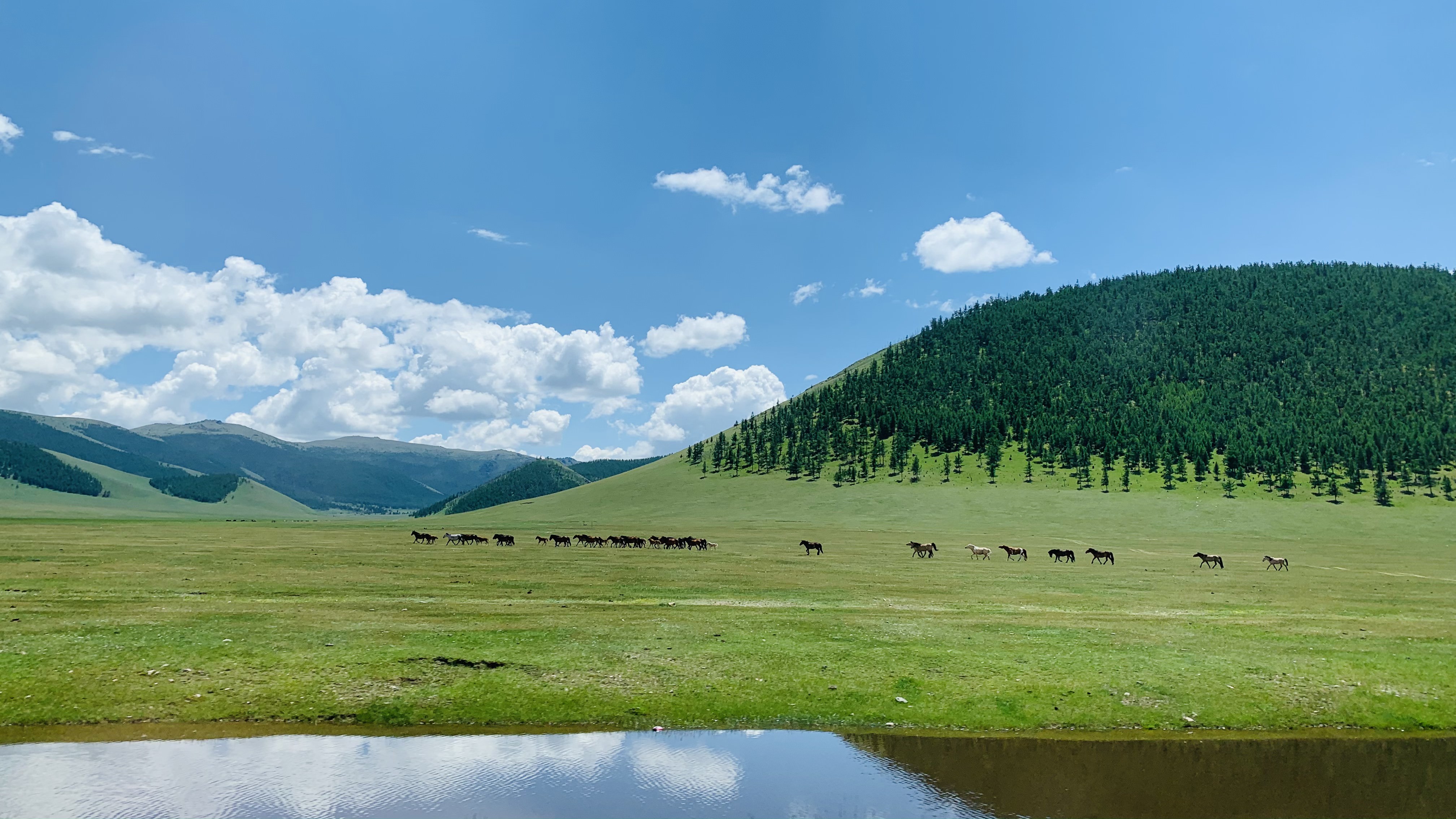 Ulaanbaatar to Khovd | A True Mongolian Roadtrip Adventure - Koryo Tours