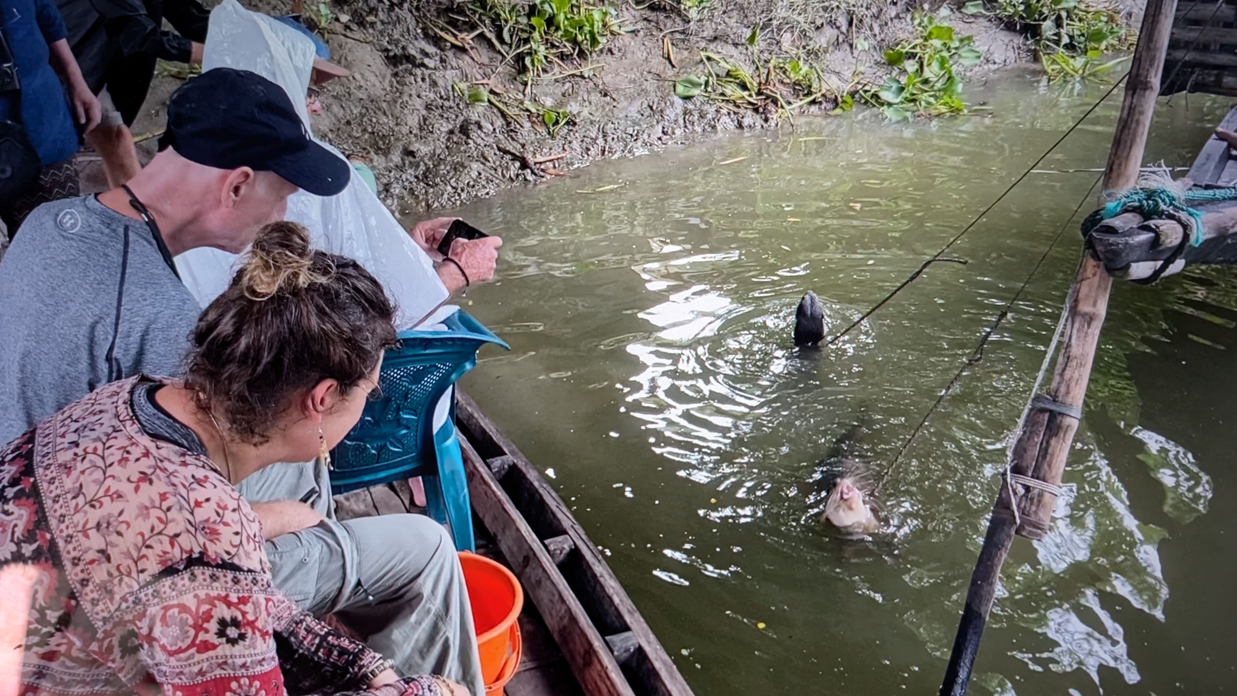 Otter Fishing in Bangladesh: A Unique Cultural Tradition & Travel Guide - Koryo Tours