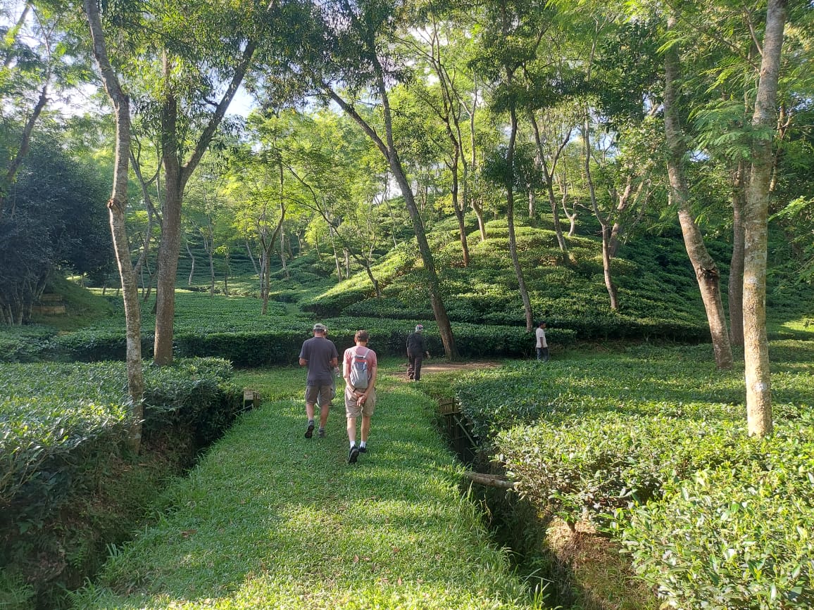 Sreemangal Tea Capital of Bangladesh: A Travel Guide to Lush Tea Gardens - Koryo Tours