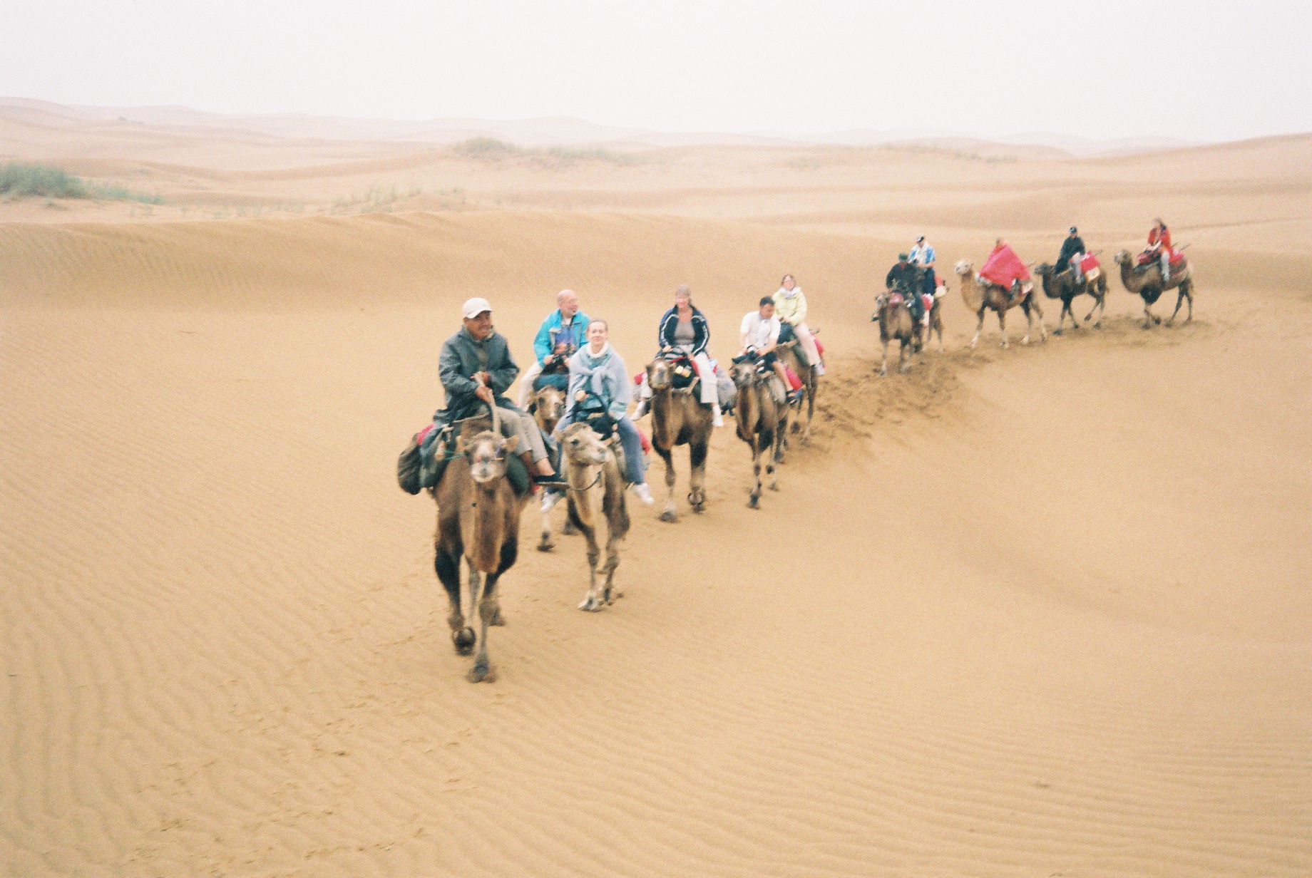 The Gobi Explorer | A Comprehensive Tour Exploring Mongolia's Gobi ...